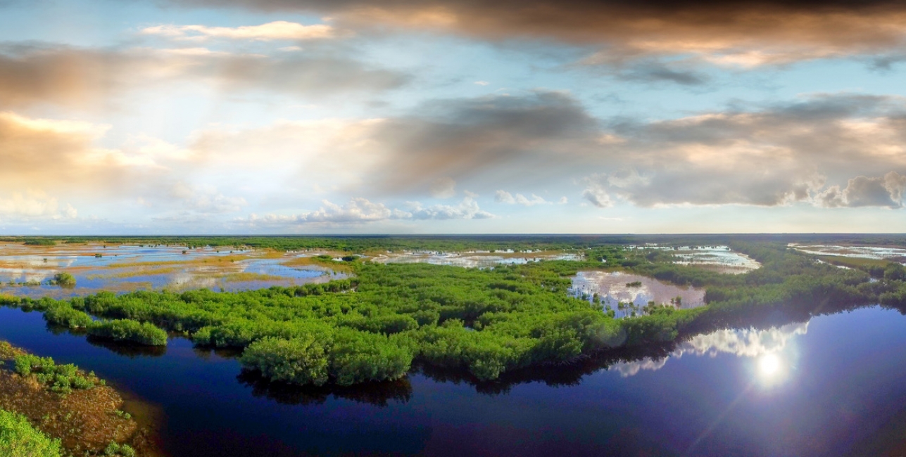 Miami and the Everglades Getaway Roundtrip from New York City | Amtrak ...