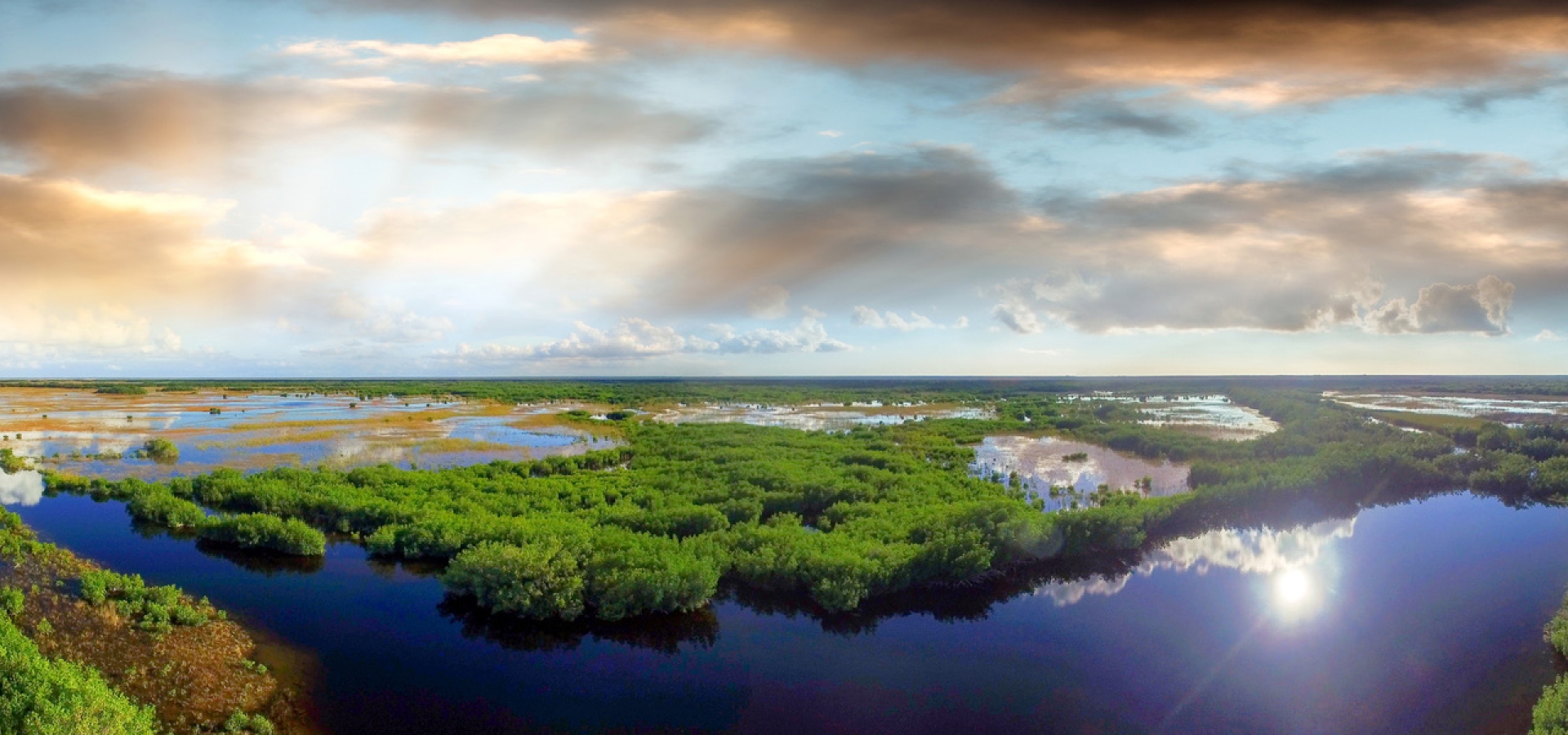 Everglades Miami Florida